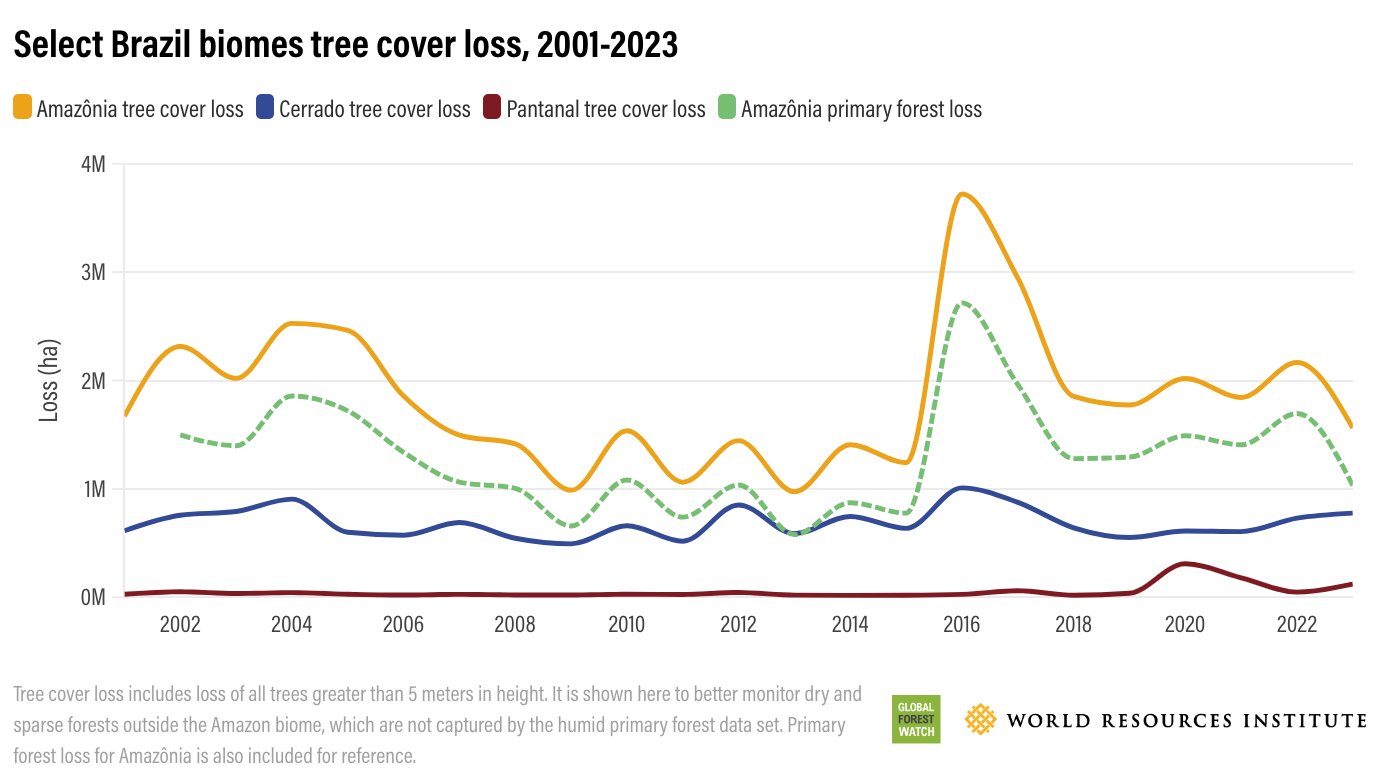 How much forest was lost in 2023? | World Resources Institute Research